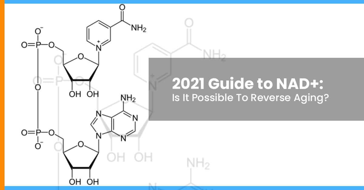 Can NAD+ Turn Back the Clock on Aging?