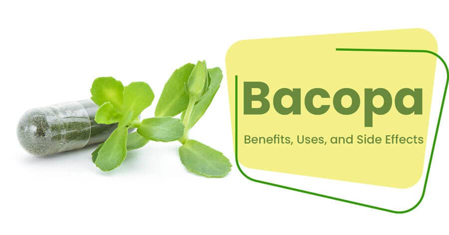 What Is Bacopa Monnieri and Does It Enhance Memory? In-Depth ...