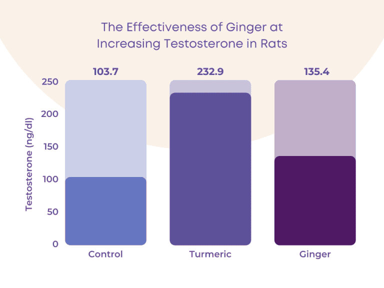 Foods With the Power to Increase Your Testosterone